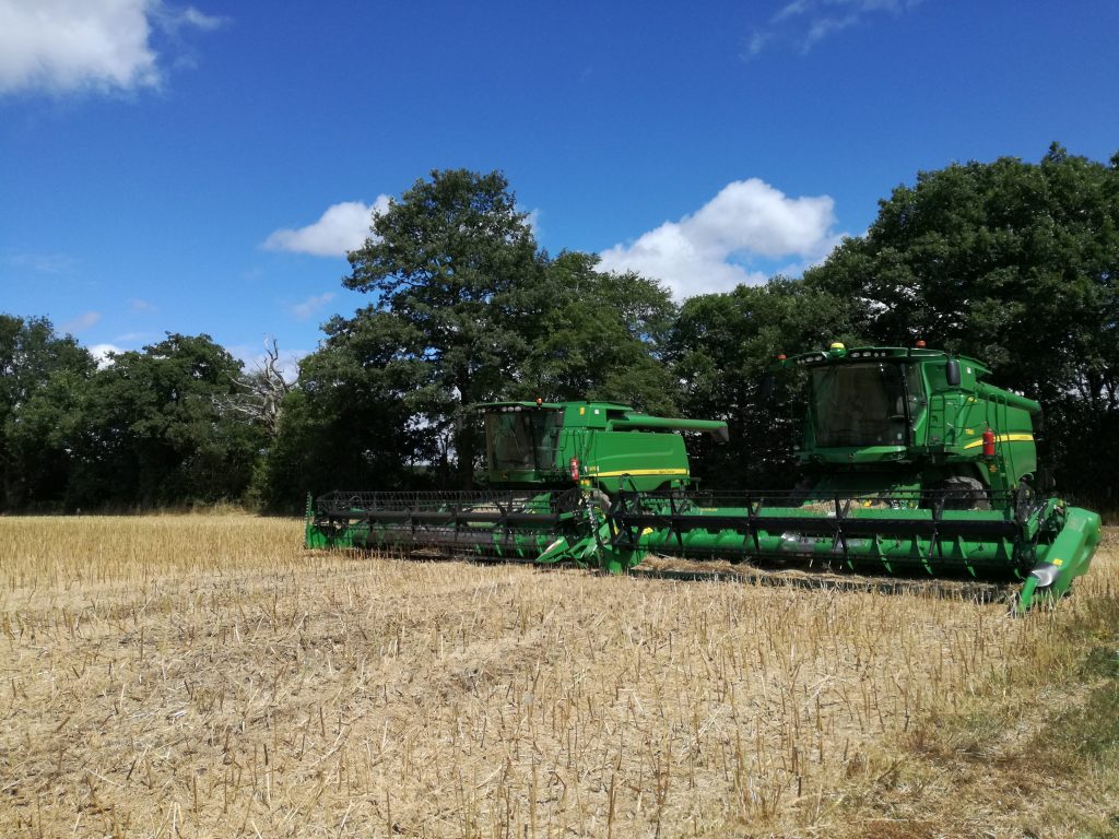 Combine Harvesting Rapeseed Crop - Becketts Farm