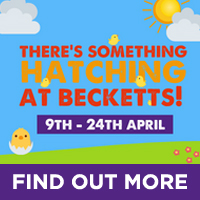 Becketts Farm | Farm Shop | Restaurant | Cookery School | Conference