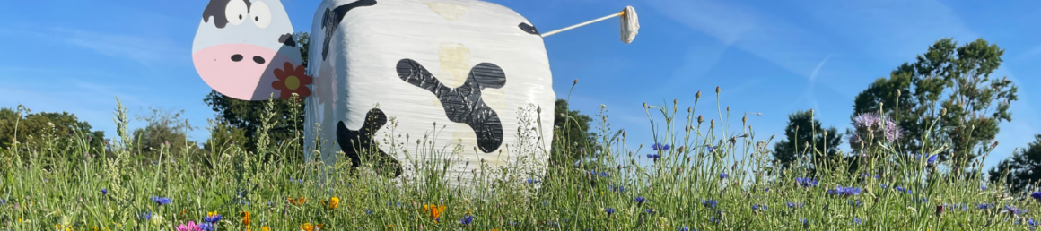 Top 5 reasons to visit Becketts Farm this summer! - Becketts Farm